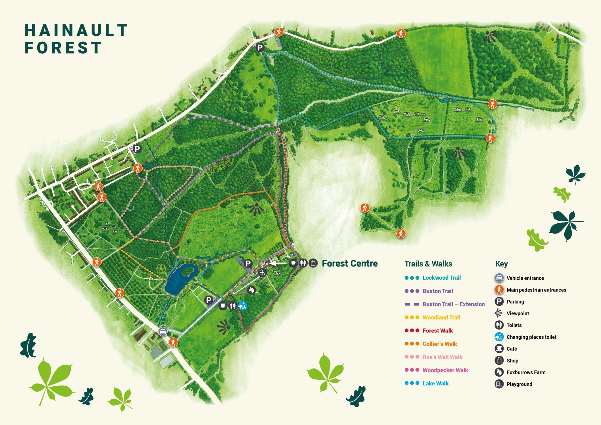 Trails – Hainault Forest