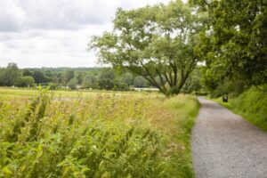 Hainault Forest Action Day – Hainault Forest