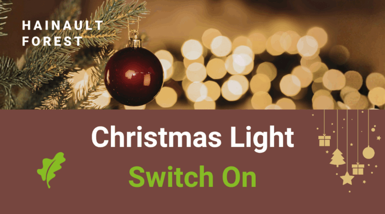Christmas Light Switch On – Hainault Forest