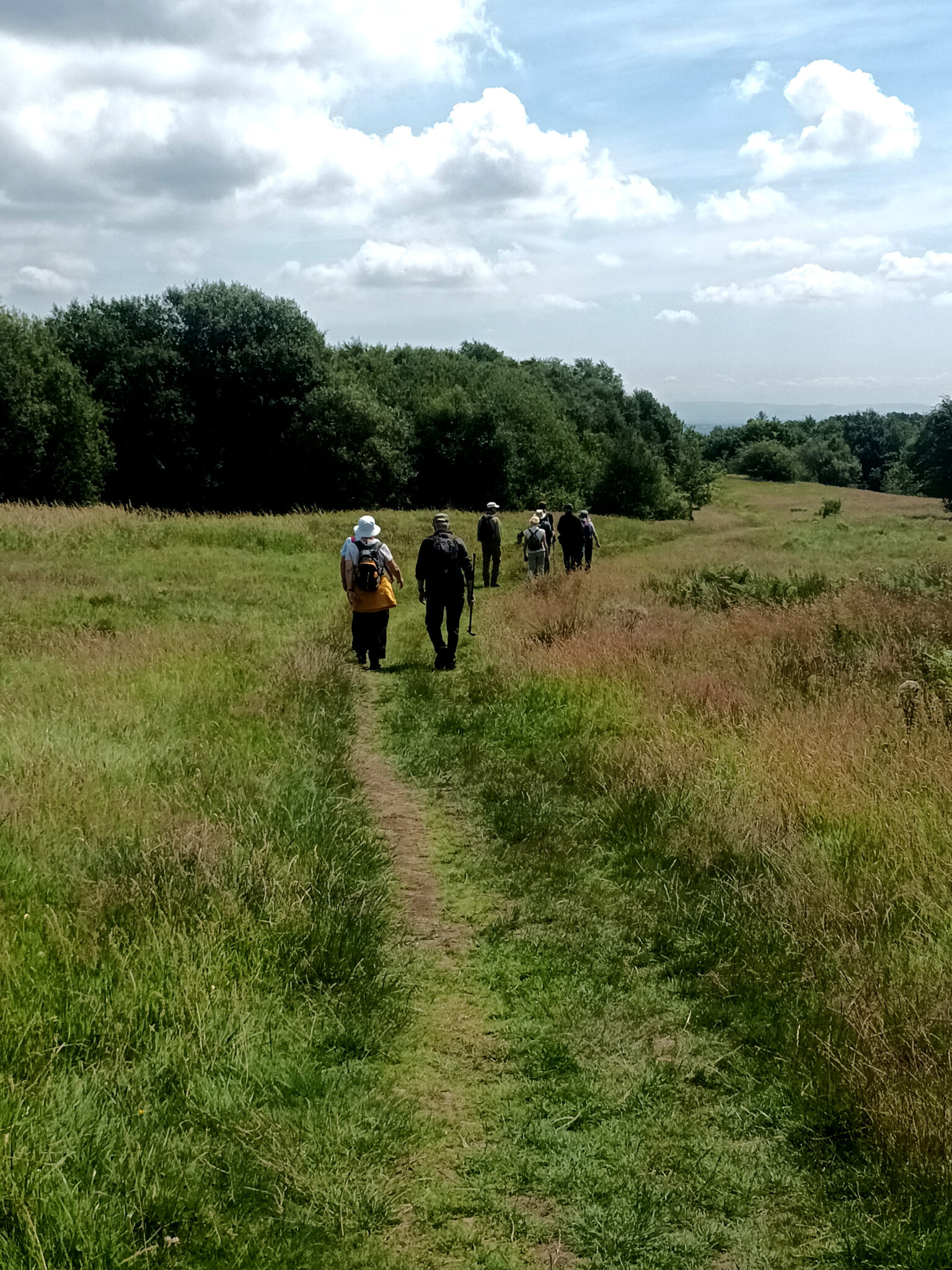 Winter mindfulness walk – Hainault Forest